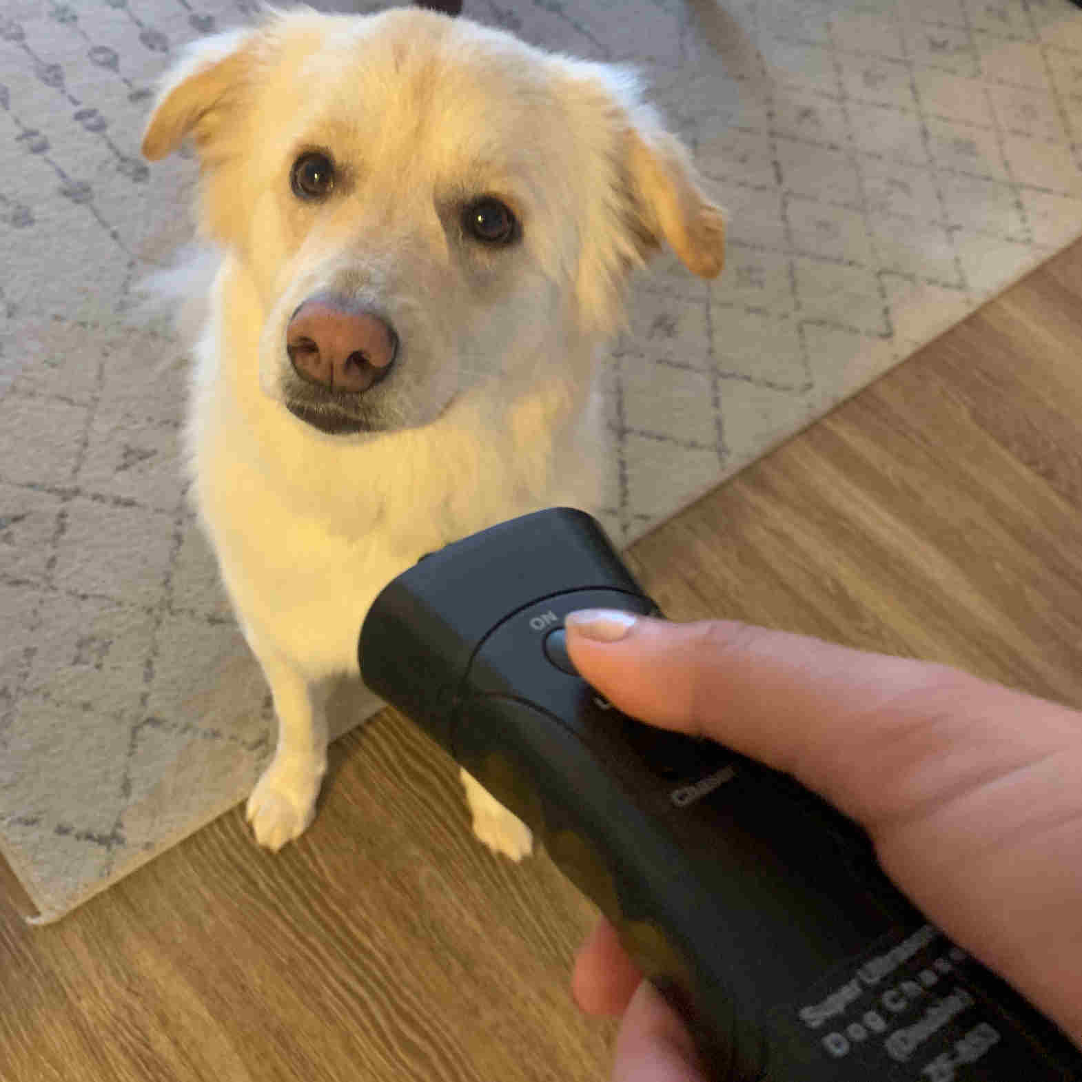 Jun 2023's New Tech Gadgets & Gifts - UnforgettableGadgets™